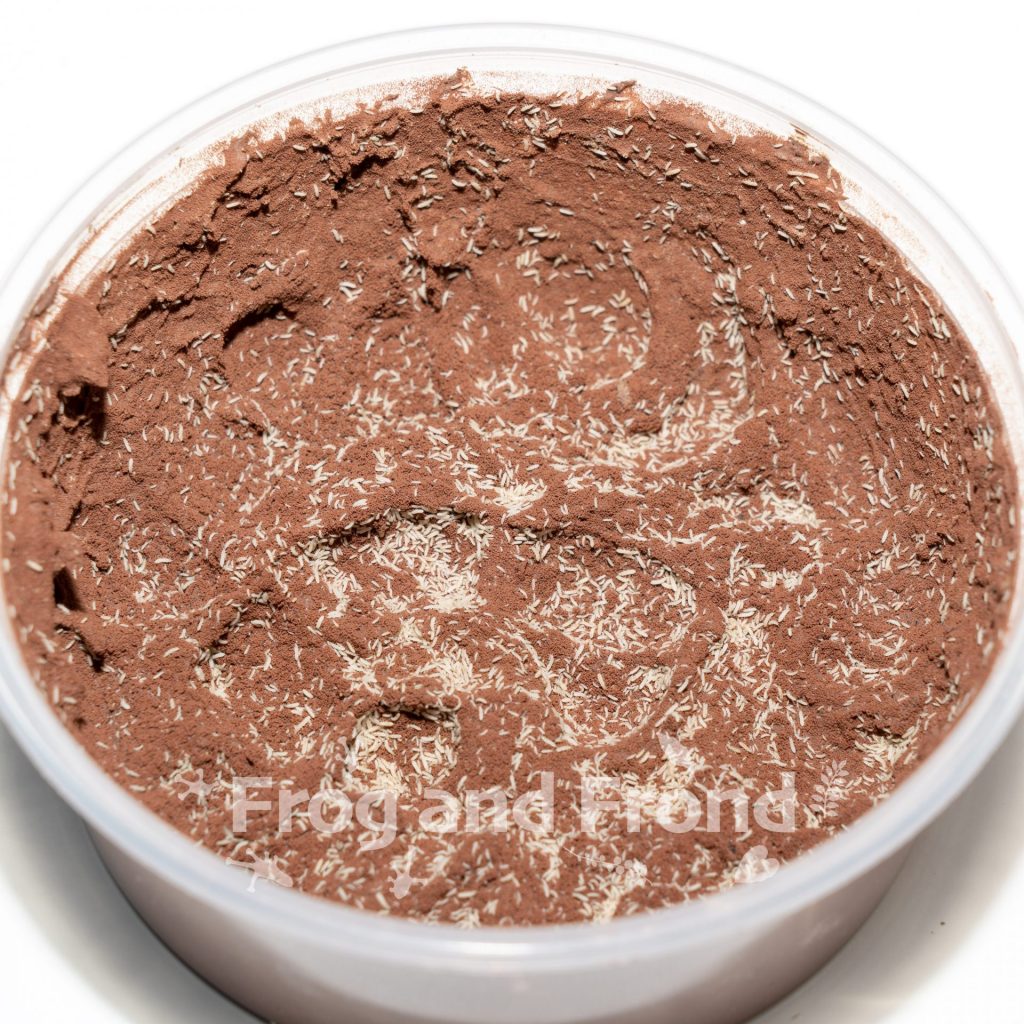 Calcium Clay Springtail Cultures - as low as $5.90 per culture | Frog ...