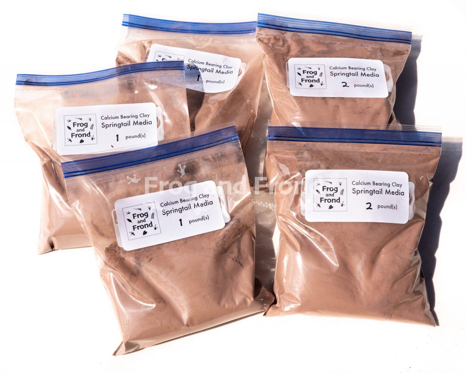 Calcium Bearing Clay Springtail Media | Frog and Frond